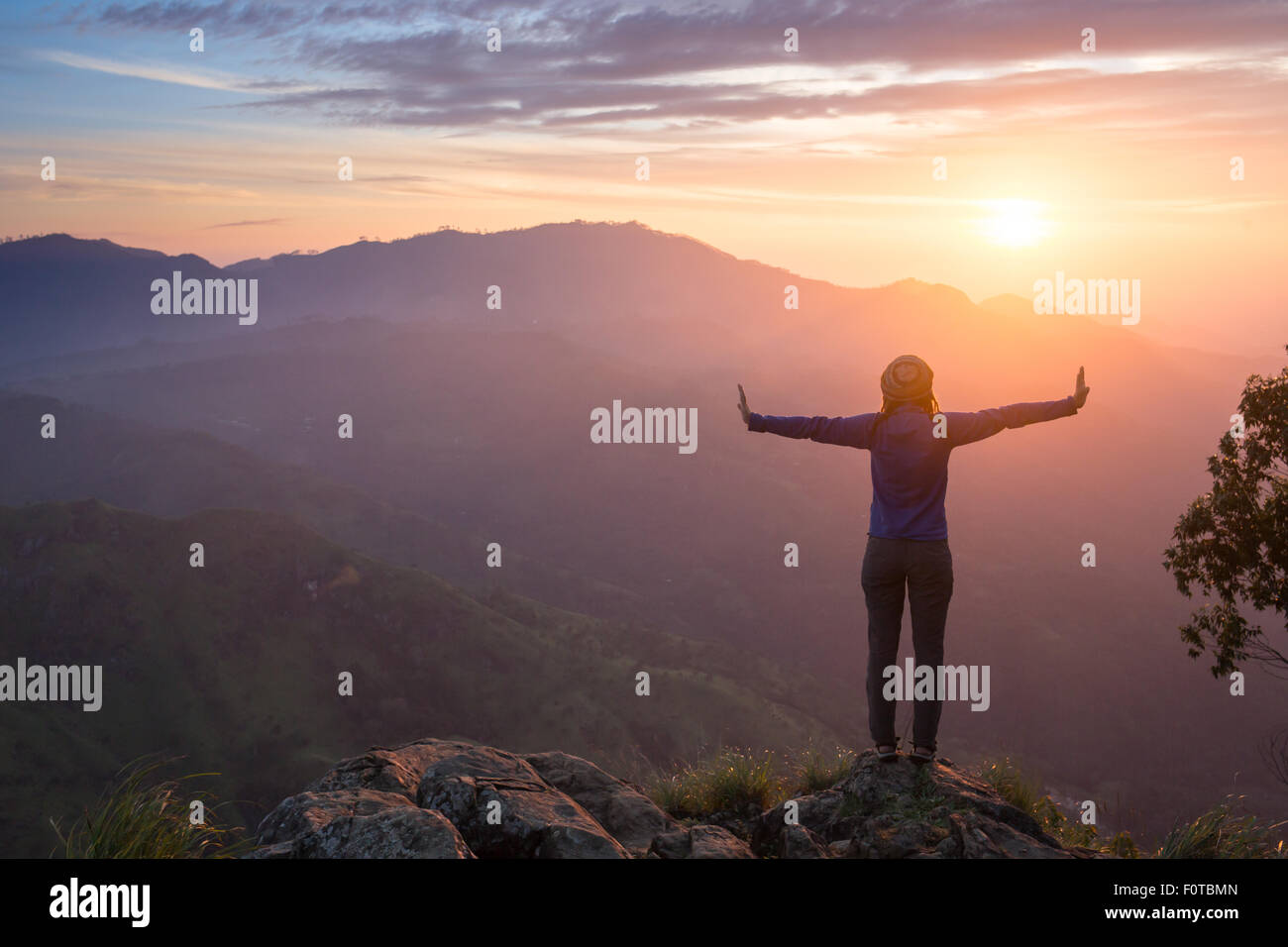 Happy celebrating winning success woman Stock Photo - Alamy