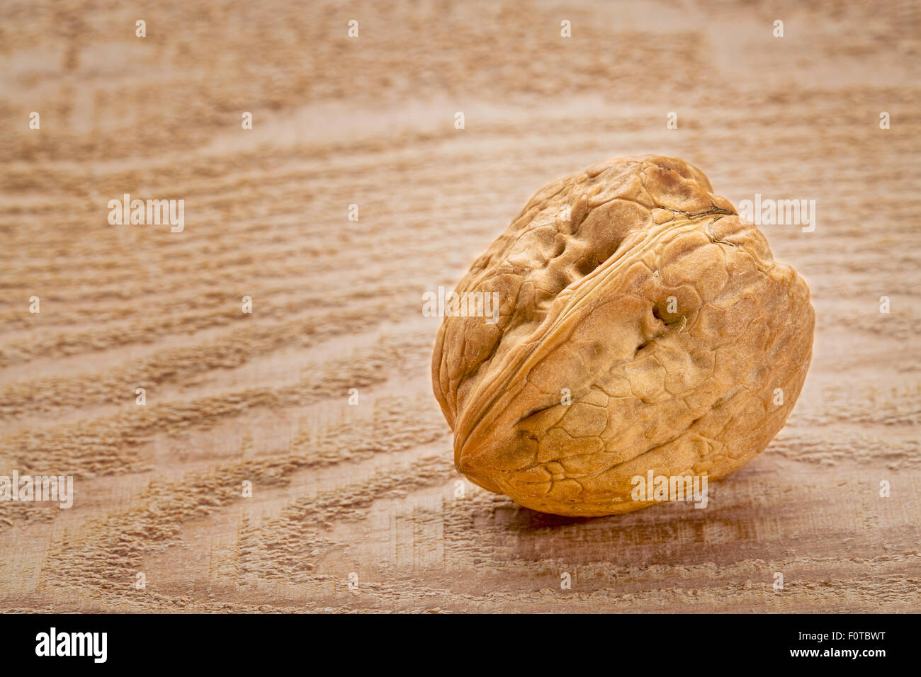 English walnut - a single nut against cedar wood plank with a copy ...