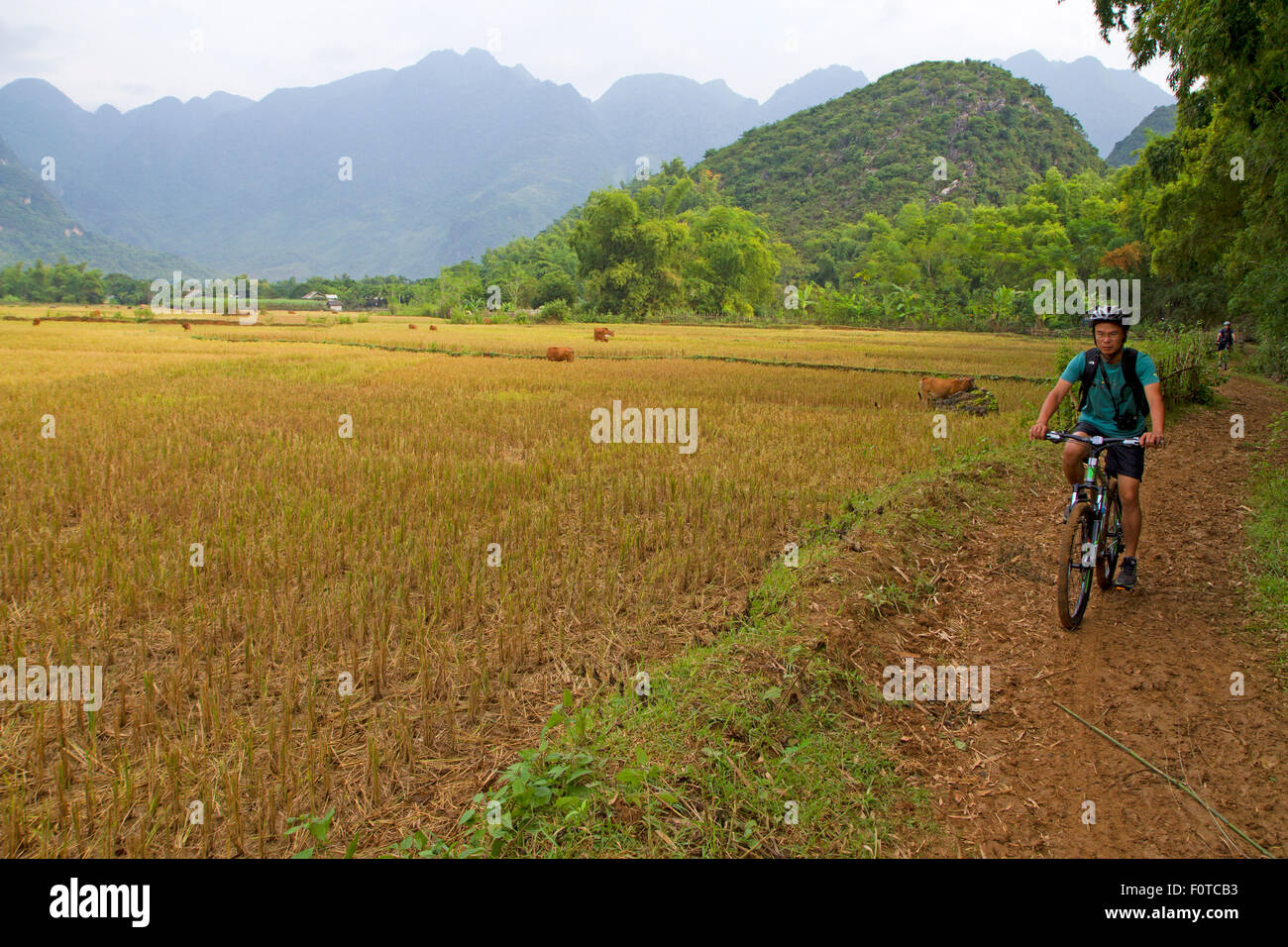 Mai chau field hi-res stock photography and images - Alamy