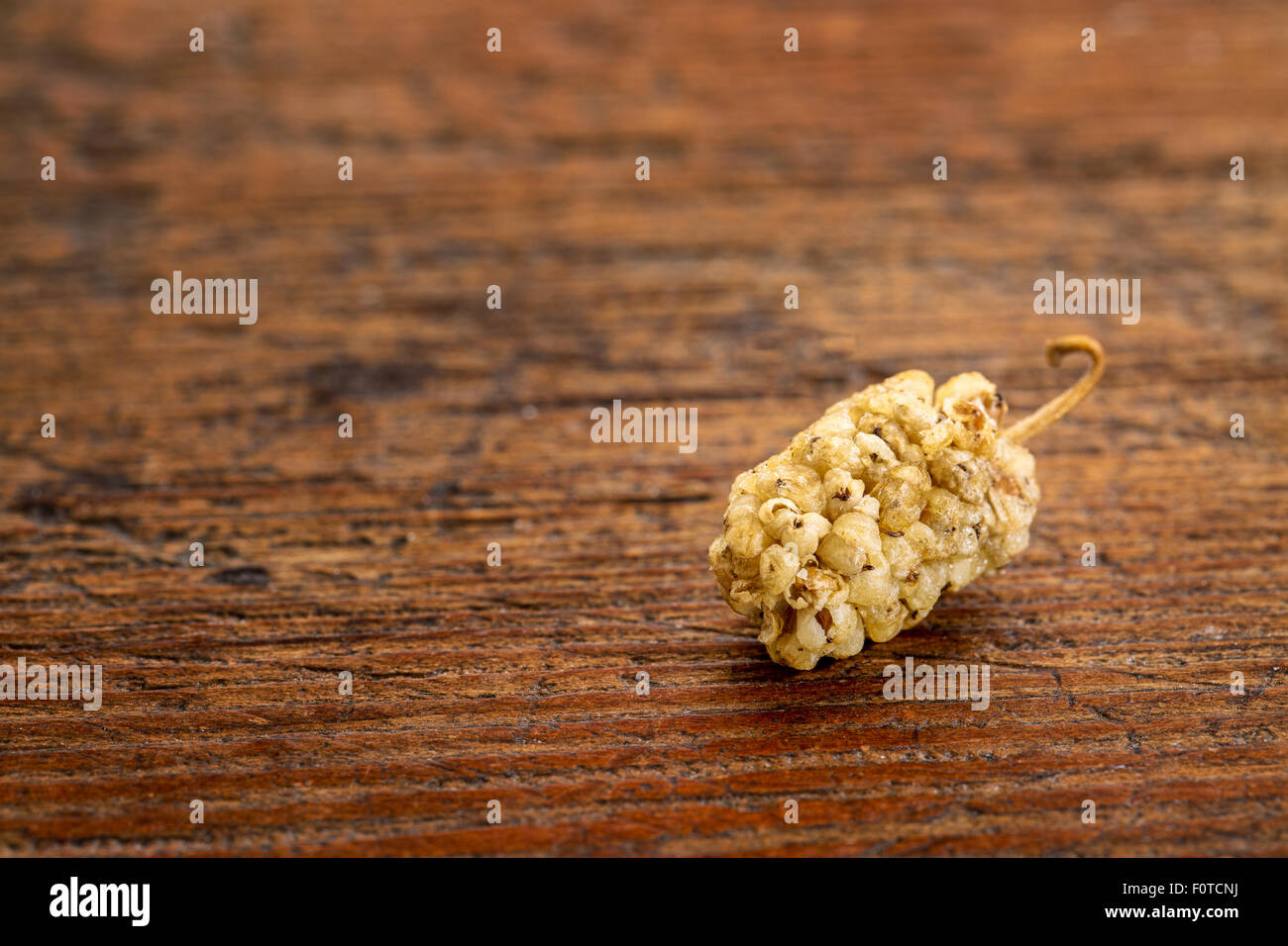 a single dried white mulberry fruit on a rustic wood with a copy space ...