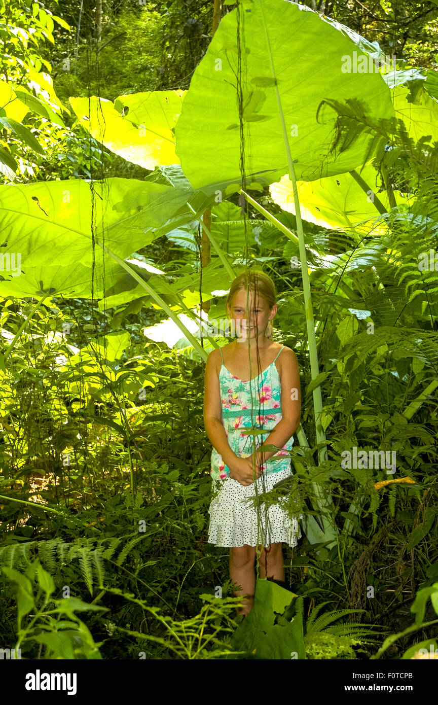 girl hides under gigantic leaf of plant in jungle at lao Stock Photo ...