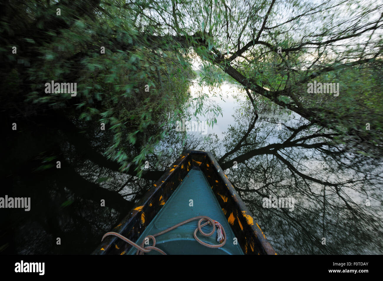 Boat ride in the delta jungle, Danube delta rewilding area, Romania ...