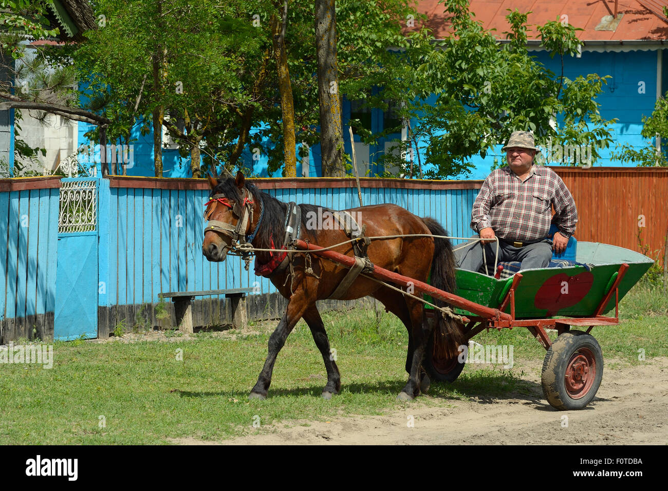 Man in traditional horse-drawn cart, Letea, Danube delta rewilding area ...
