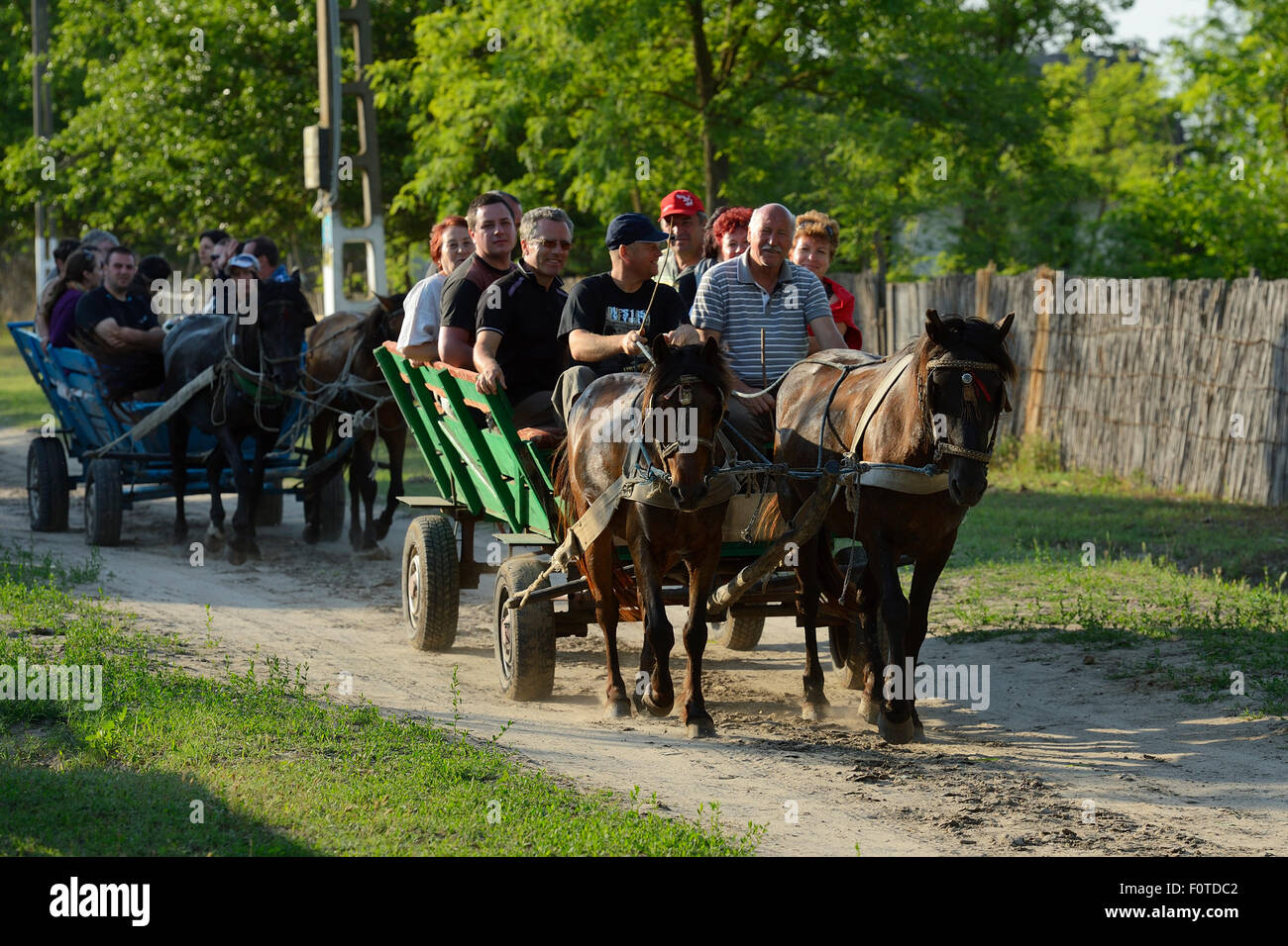 Tourism in the delta, horse wagon trip, Letea, Danube delta rewilding ...