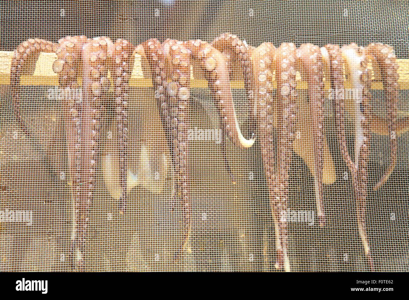 Octopuses drying in sun hi-res stock photography and images - Alamy