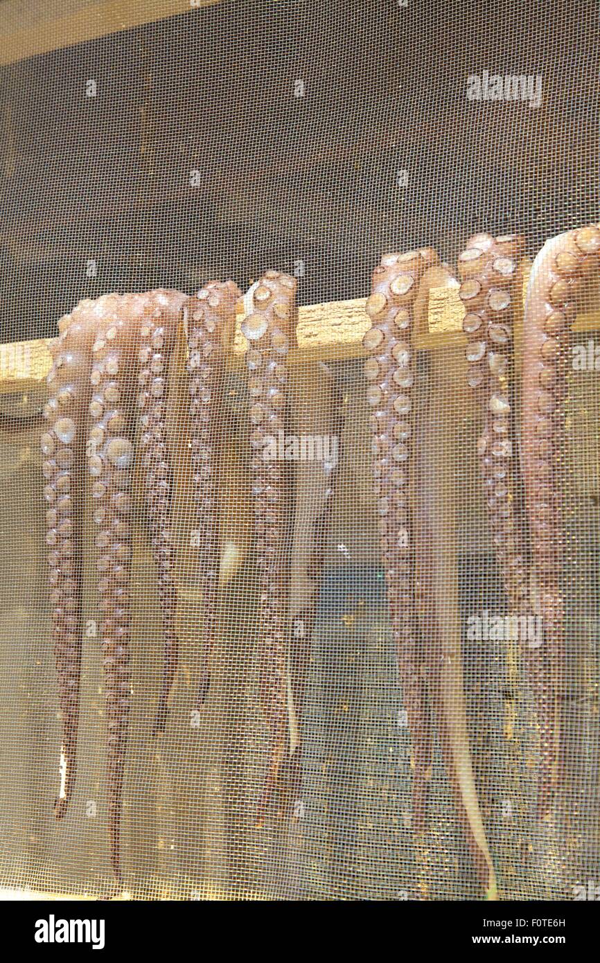 Octopuses drying hi-res stock photography and images - Alamy