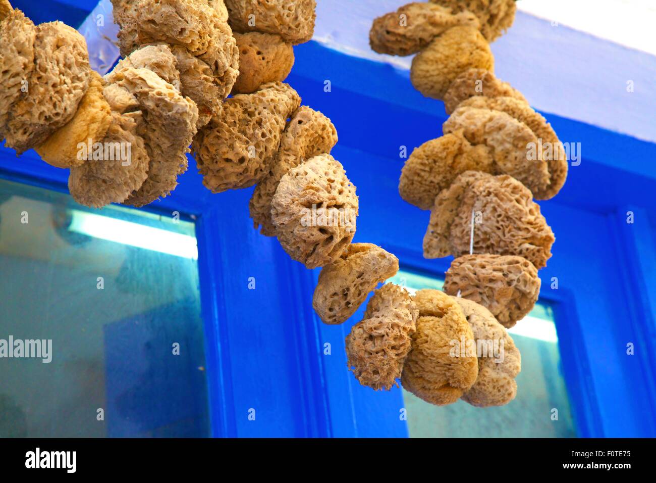 Sea sponge kalymnos hi-res stock photography and images - Alamy