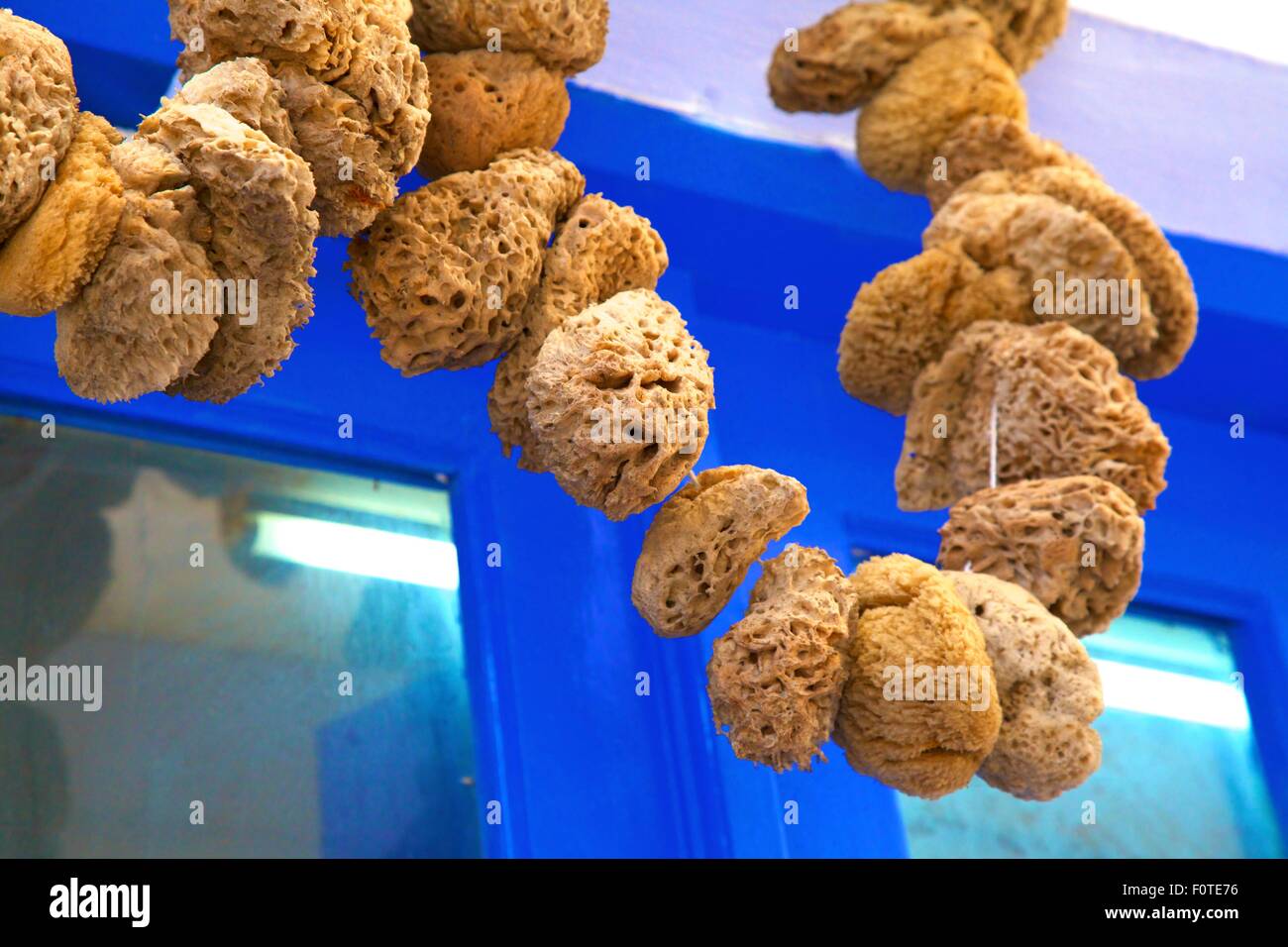 Sea sponge kalymnos hi-res stock photography and images - Alamy