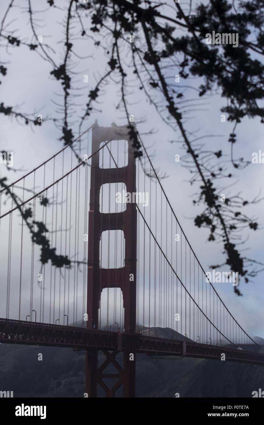 Los Angeles, California, USA. 13th Aug, 2015. The Golden Gate Bridge in San Francisco ...