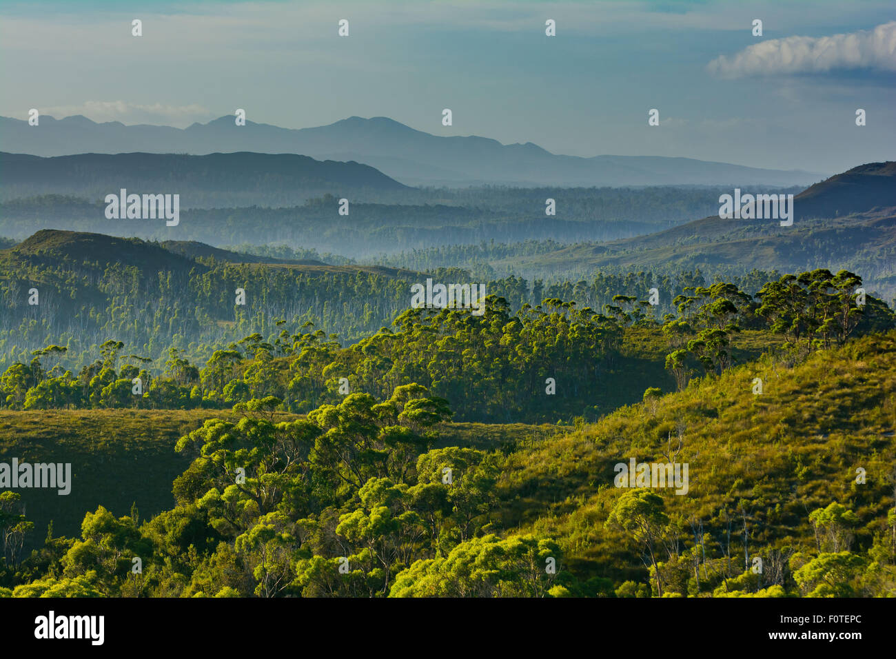 Arthur-PIeman Conservation Area, Tasmania, Australia Stock Photo - Alamy