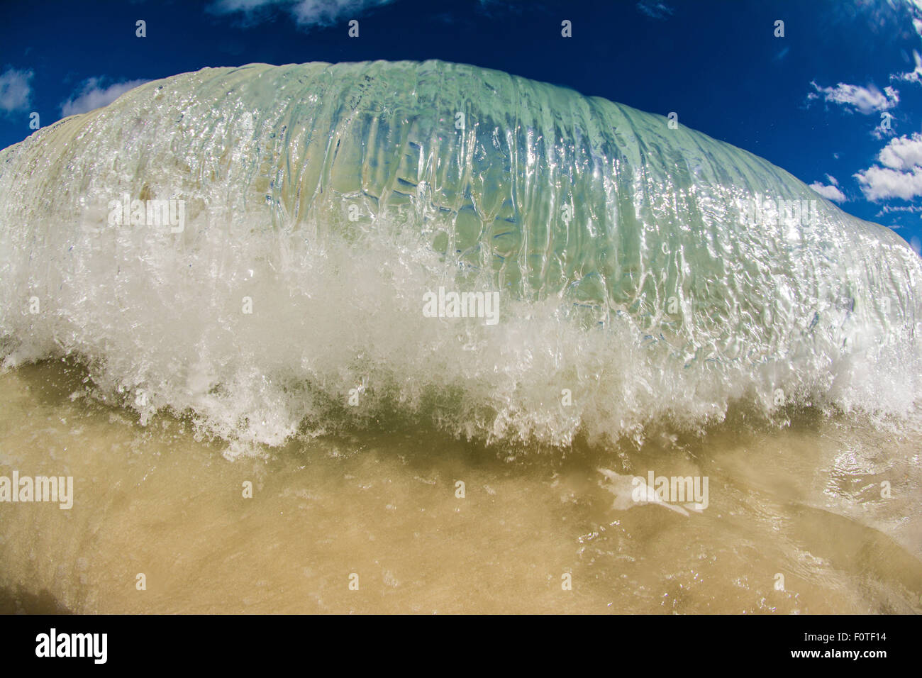 Breaking wave, Kailua Beach shorebreak, Kailua, Oahu, Hawaii Stock ...