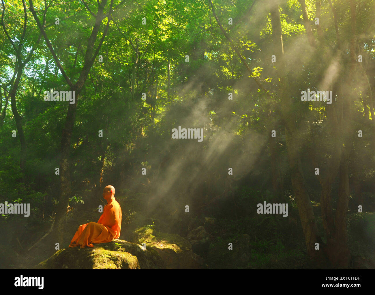 Hangzhou chanyuan temple hi-res stock photography and images - Alamy