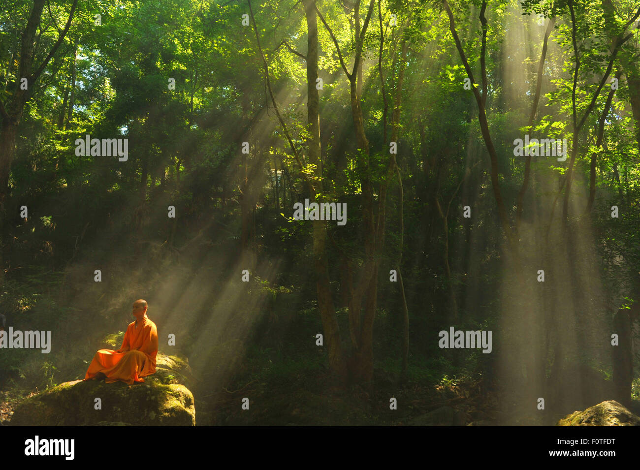 Hangzhou chanyuan temple hi-res stock photography and images - Alamy