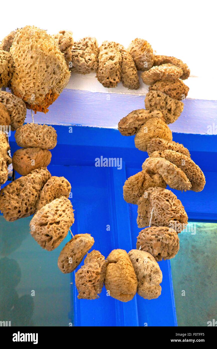 Natural sponges for sale hi-res stock photography and images - Alamy