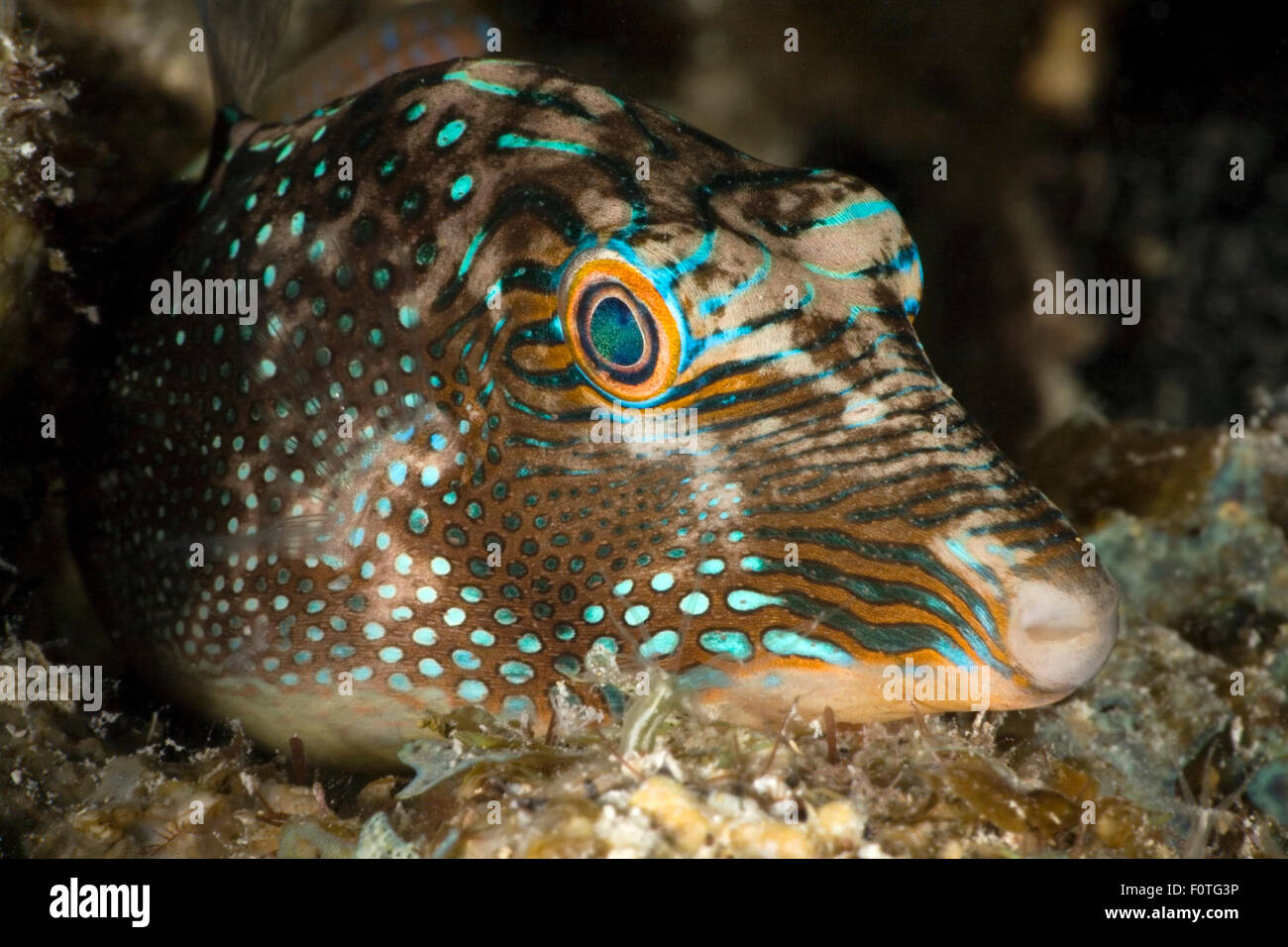 Sleeping during hi-res stock photography and images - Alamy