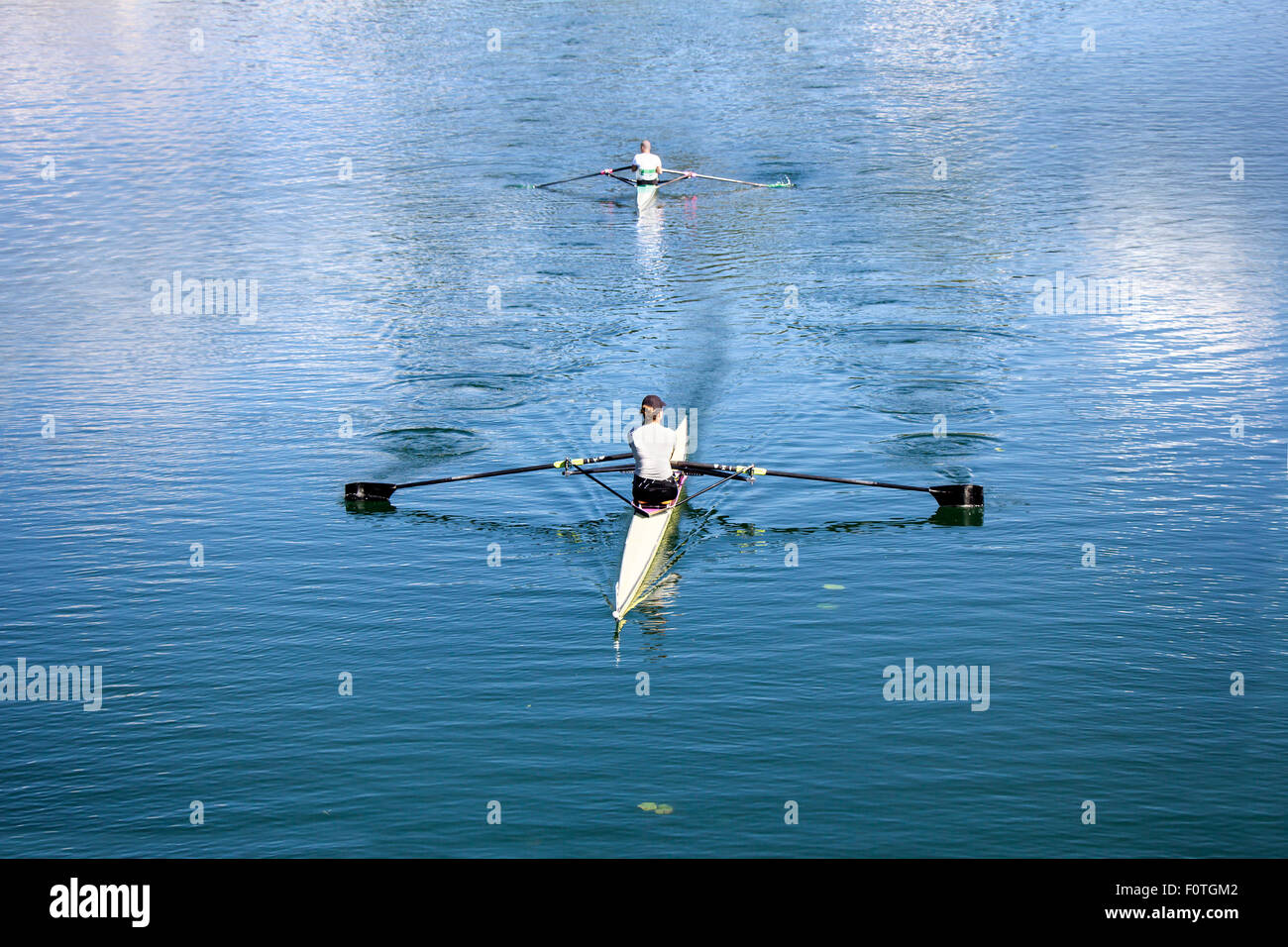 Two Young rowers training rowing on the Lake Stock Photo - Alamy