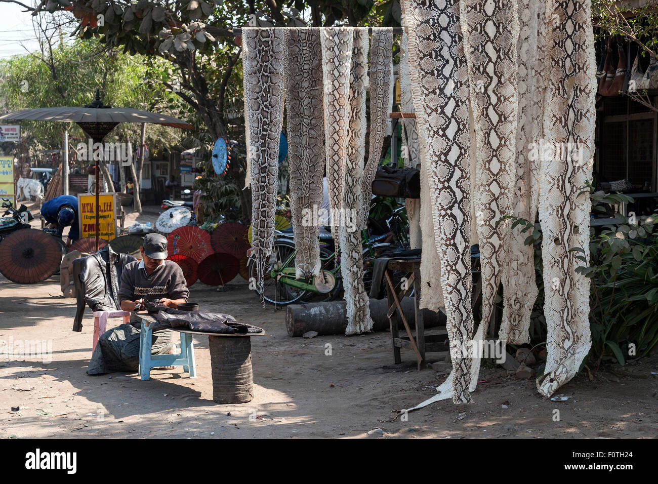Snake skins, snakeskin hanging by the roadside, Mandalay, Division ...