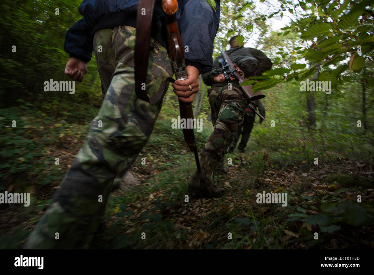 Romanian hunters during a driving hunt for Wild boar (Sus scrofa) in ...