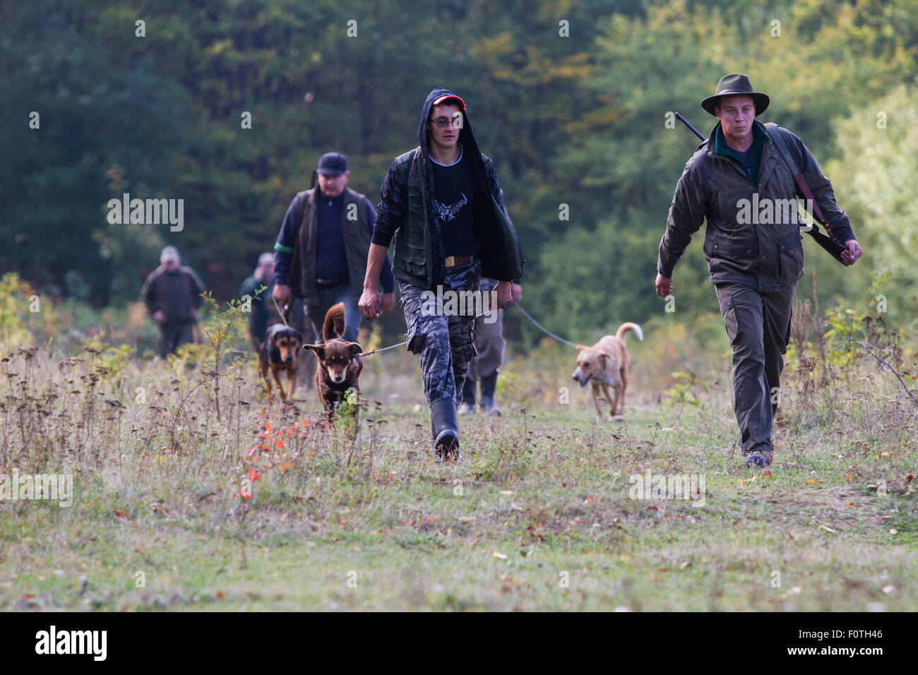 Group of Romanian hunters and their dogs returning from a driving hunt ...