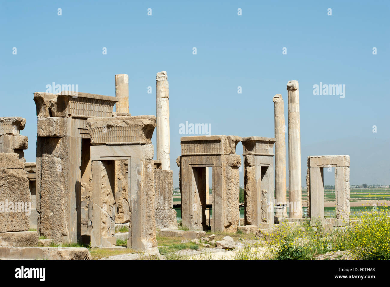 Gates and pillars, residential palace of Xerxes and Apadana, ancient ...