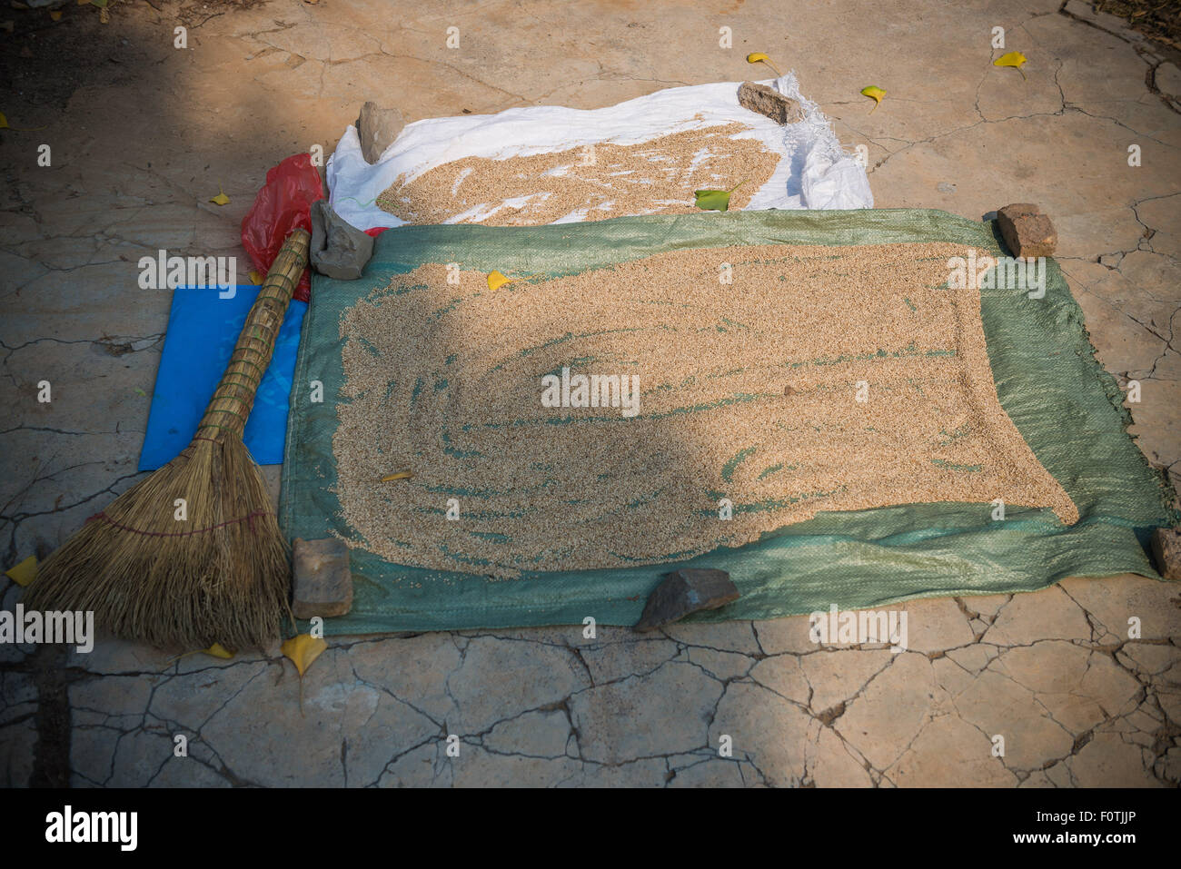Shaolin temple monastery hi-res stock photography and images - Alamy