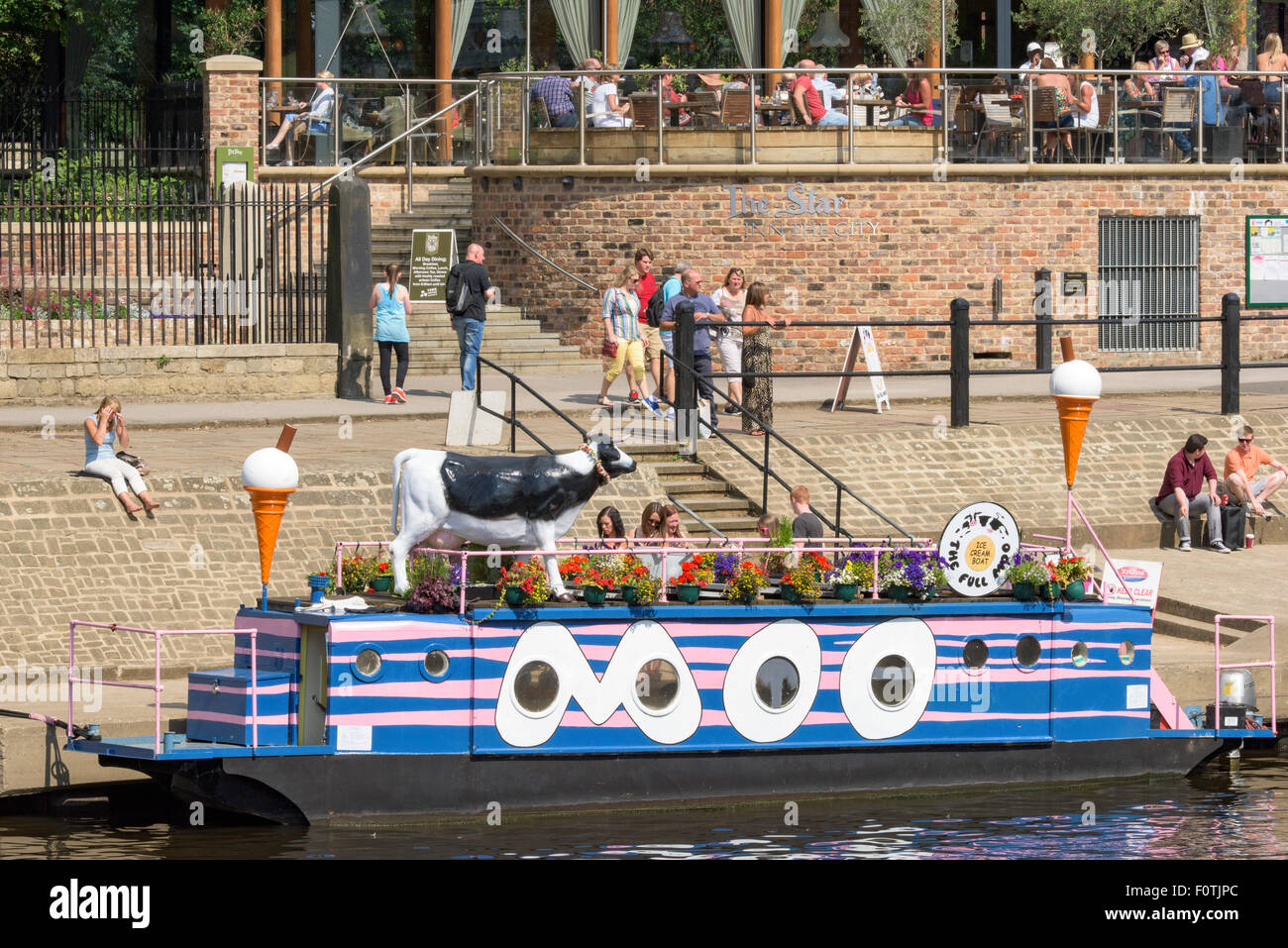 Moo cow hi-res stock photography and images - Alamy