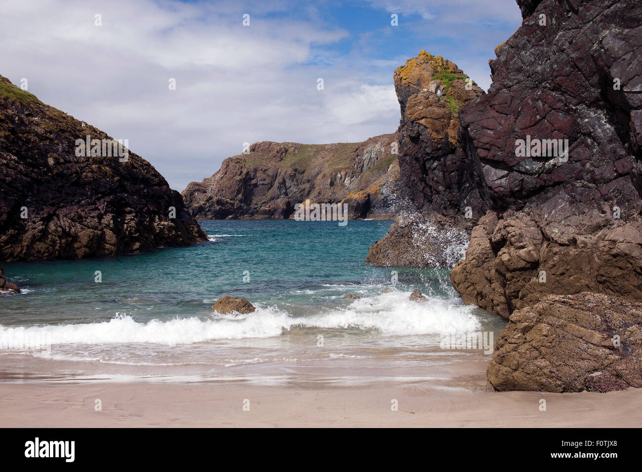 Serpentine stone lizard hi-res stock photography and images - Alamy