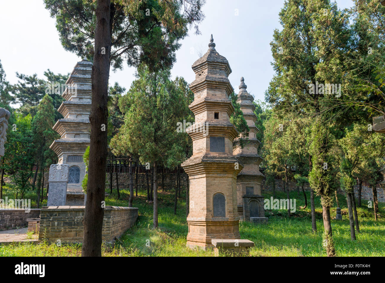 The Pagoda Forest in Shaolin Temple Stock Photo - Alamy