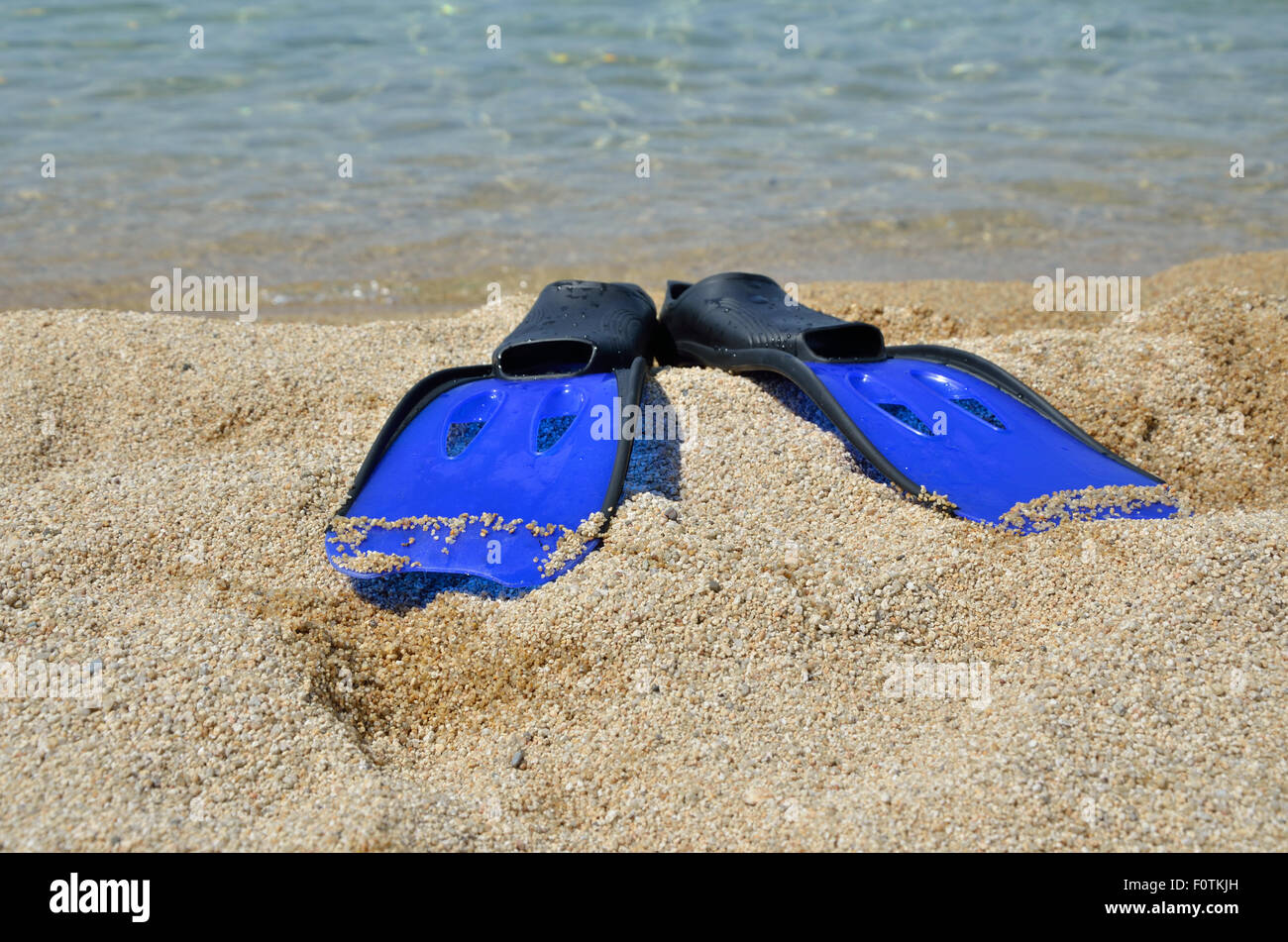 Blue-black flippers on pebble beach with sea in background Stock Photo ...