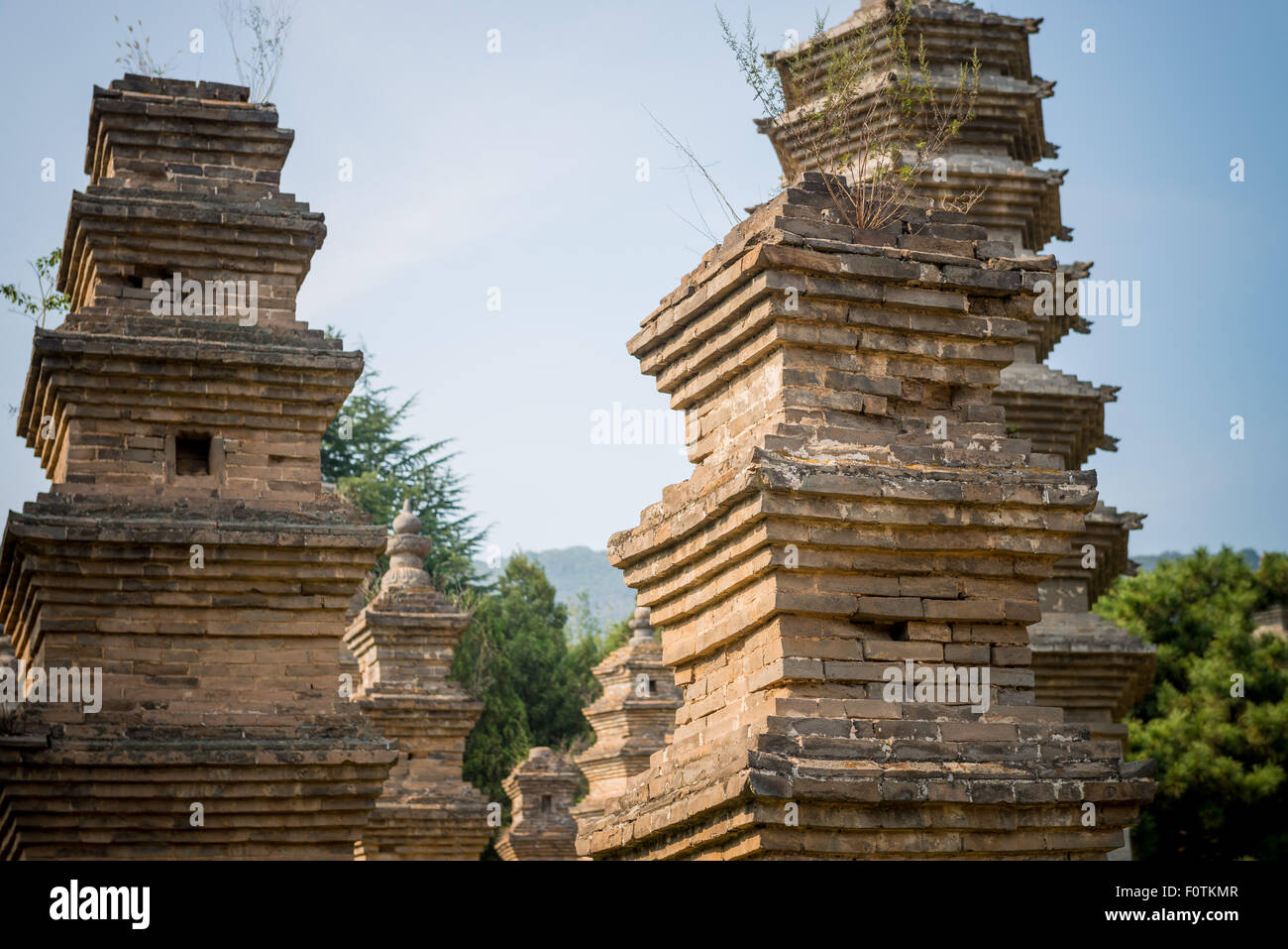 The Pagoda Forest in Shaolin Temple Stock Photo - Alamy