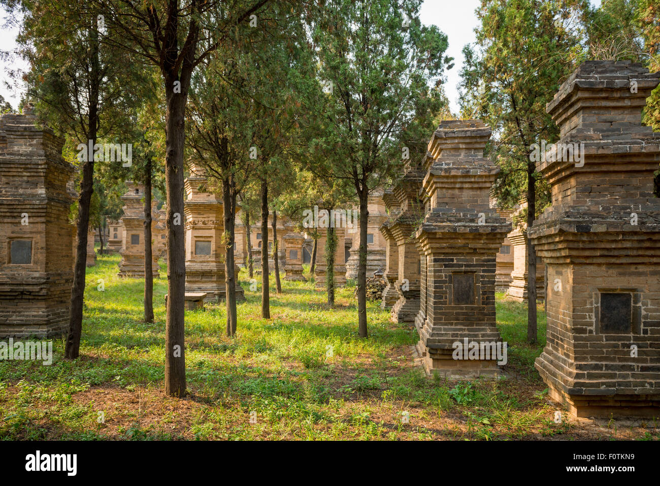 The Pagoda Forest in Shaolin Temple Stock Photo - Alamy