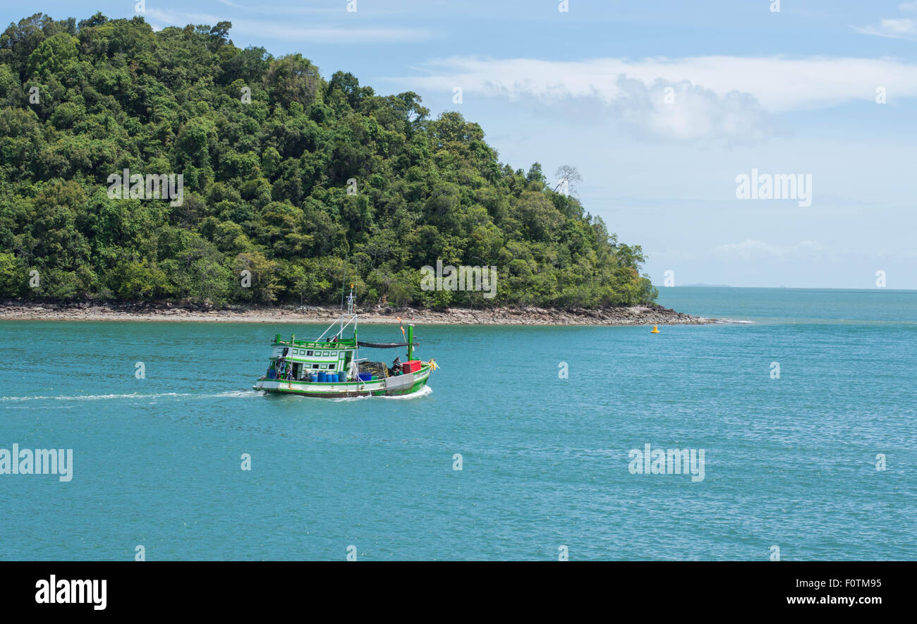 Ocean going fish hi-res stock photography and images - Alamy