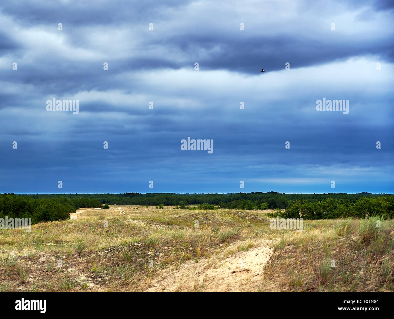 Steppe landscape with sky hi-res stock photography and images - Alamy