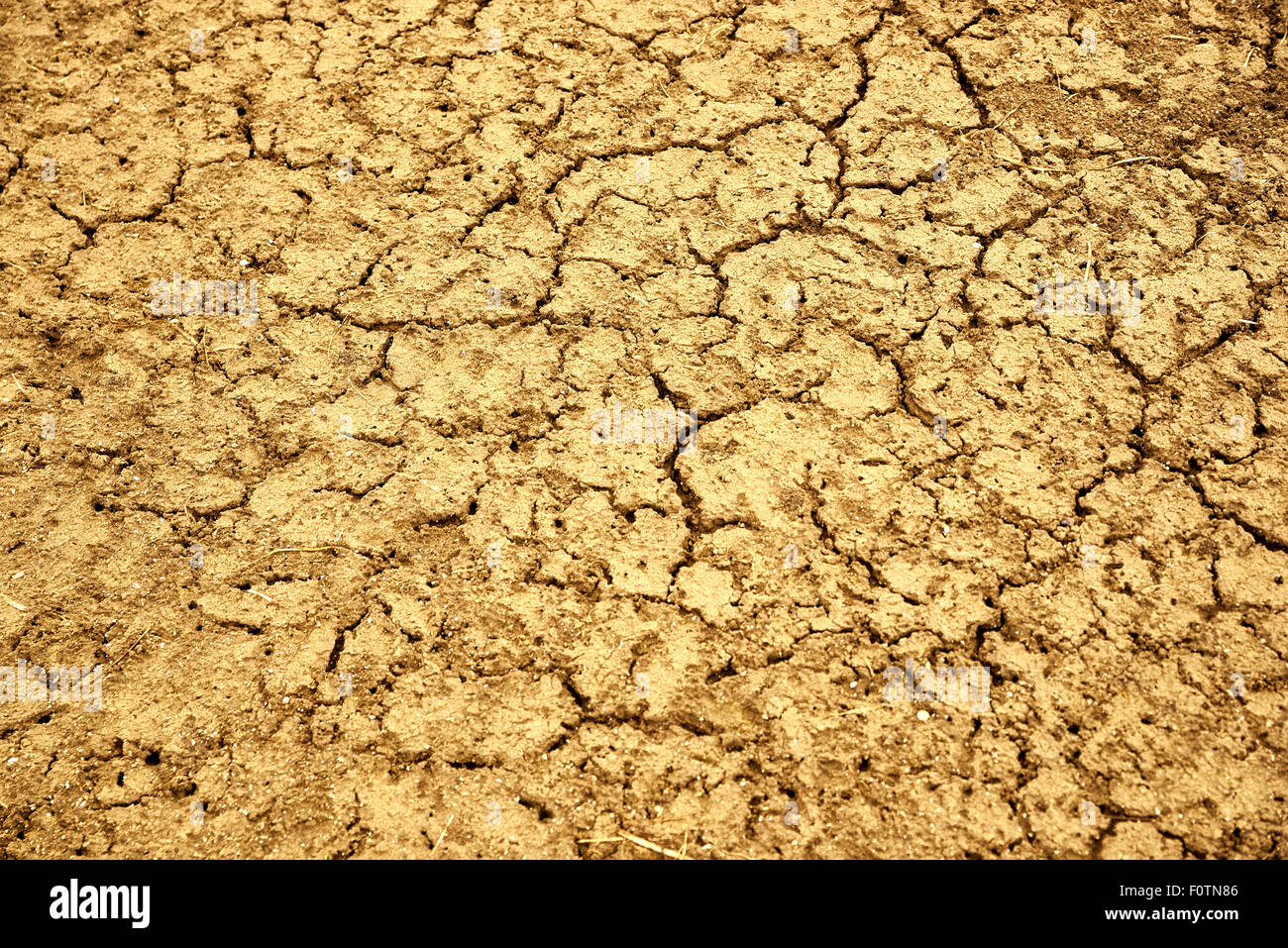 Drought land. Pattern of dry ground earth Stock Photo - Alamy