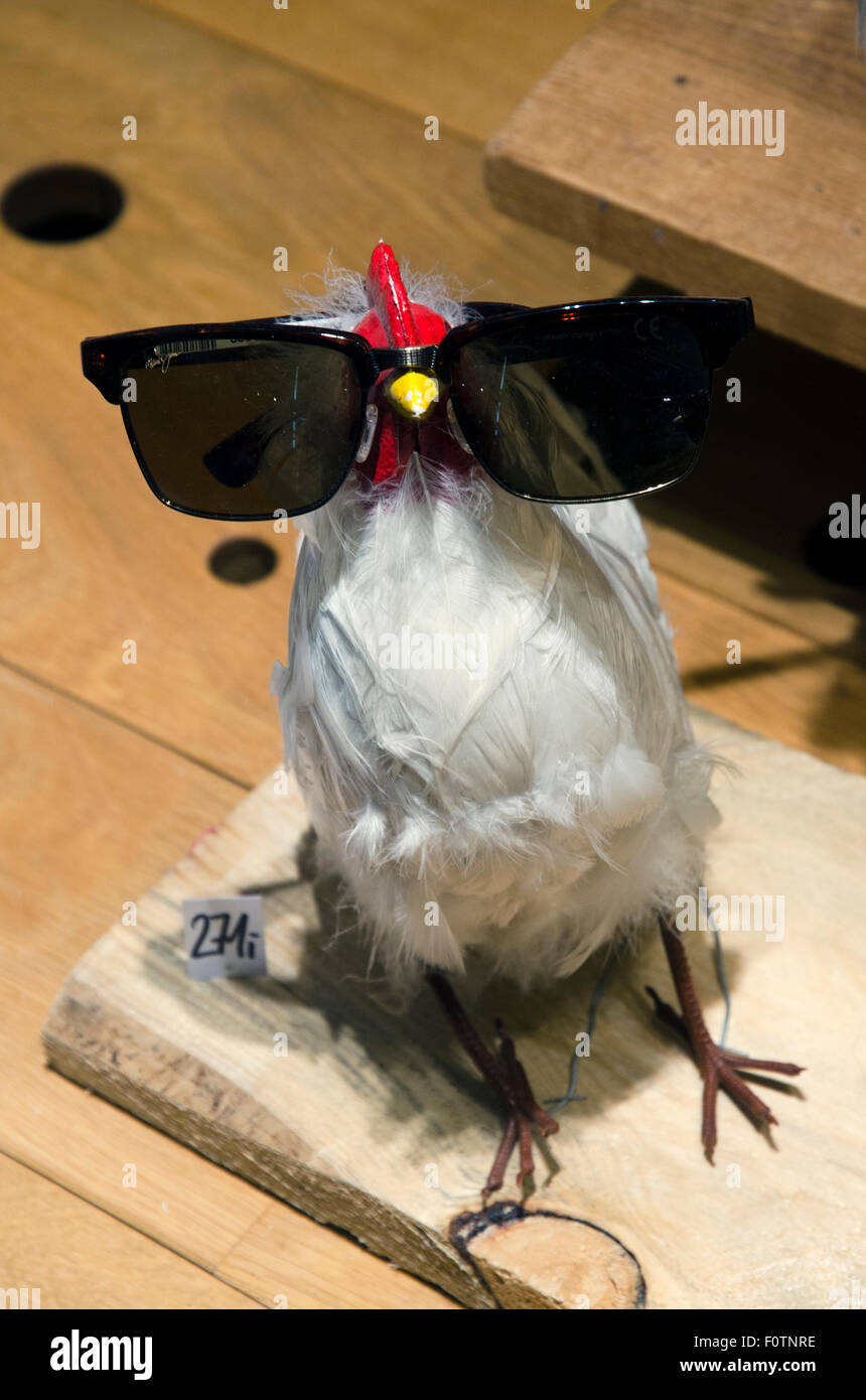 heidelberg hauptstrasse optician shop chicken sunglasses Stock Photo ...