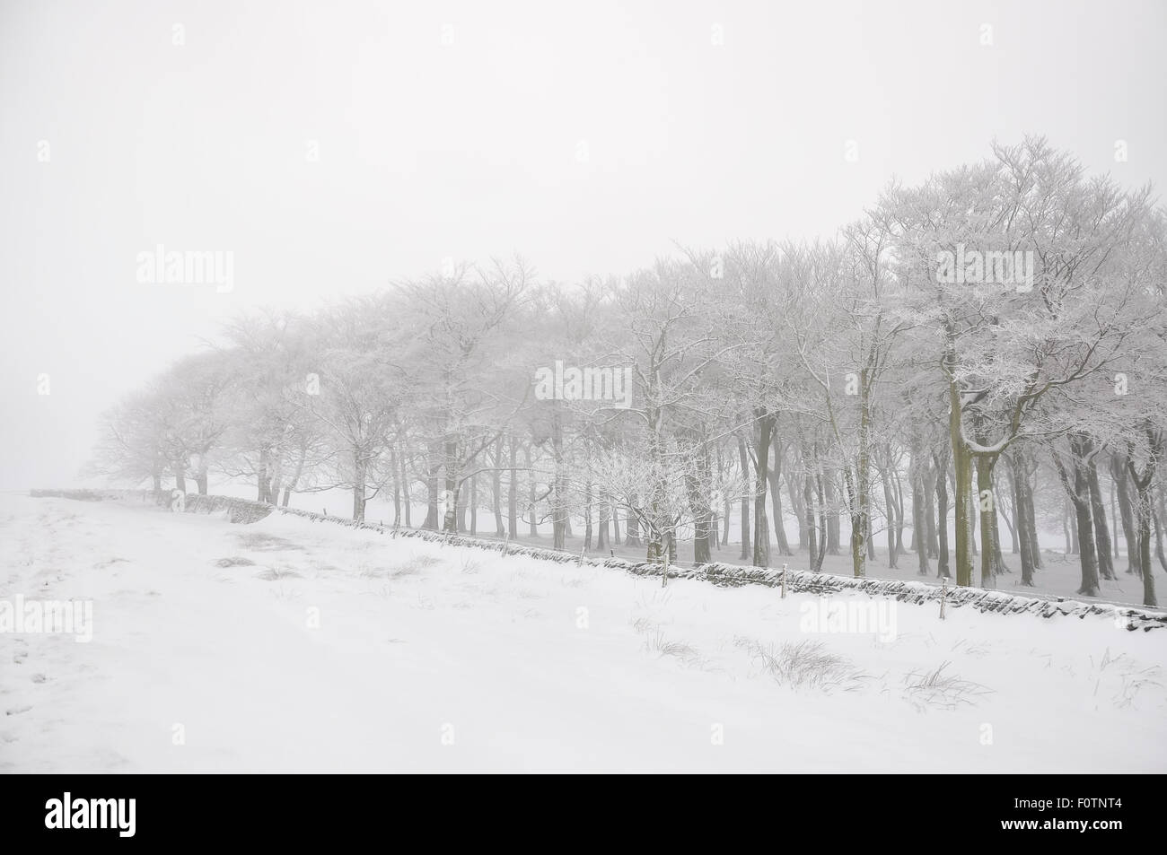 Blasted landscape hi-res stock photography and images - Alamy