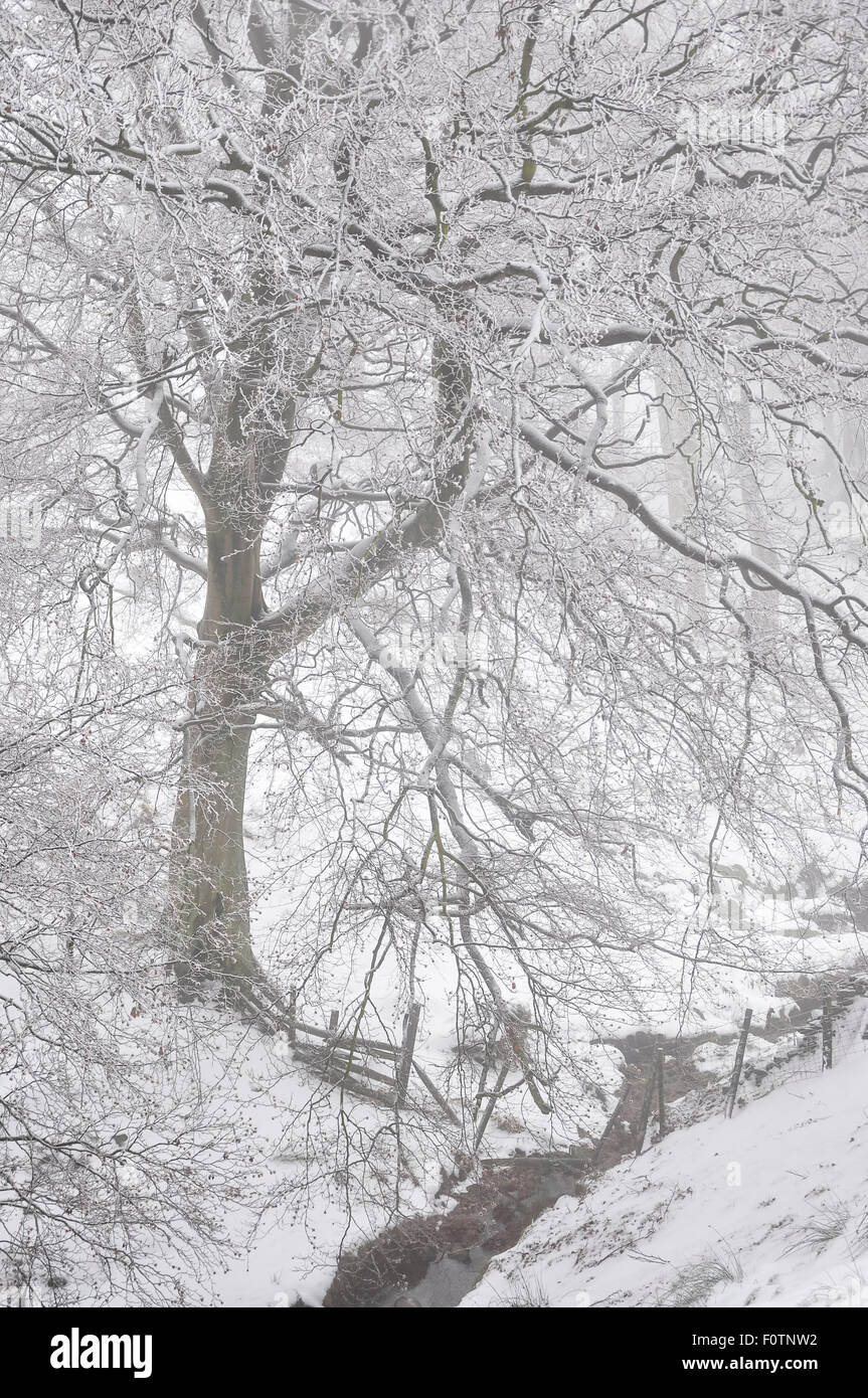 Snow covered ravine hi-res stock photography and images - Alamy