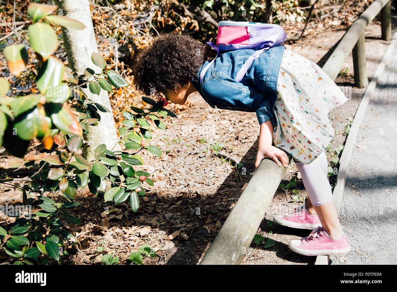 Leaning over fence hi-res stock photography and images - Alamy