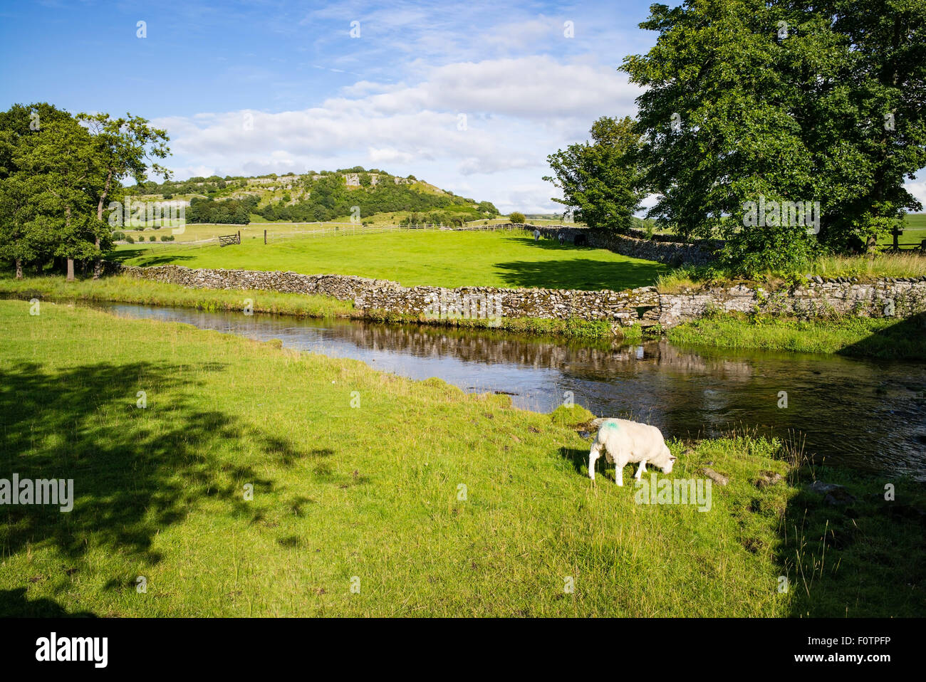 Austwick Beck and Oxenber Woods, Yorkshire Dales National Park, England ...