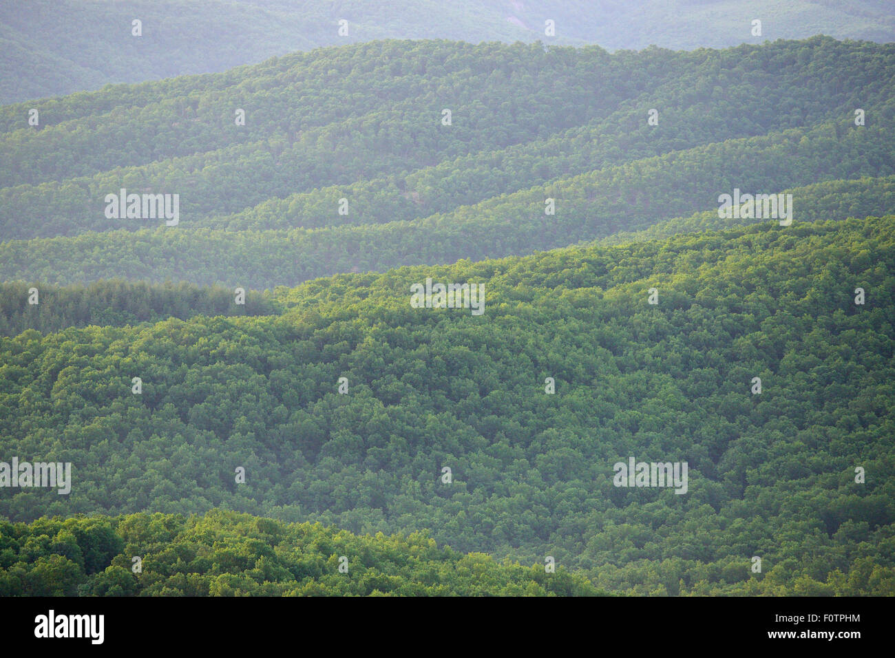 Aerial view over the Arda river canyon, Madzharovo, Eastern Rhodope ...