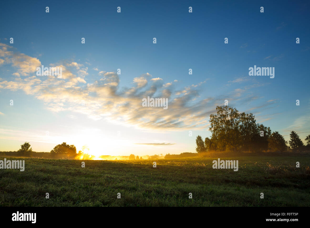 Temperate grassland hi-res stock photography and images - Alamy