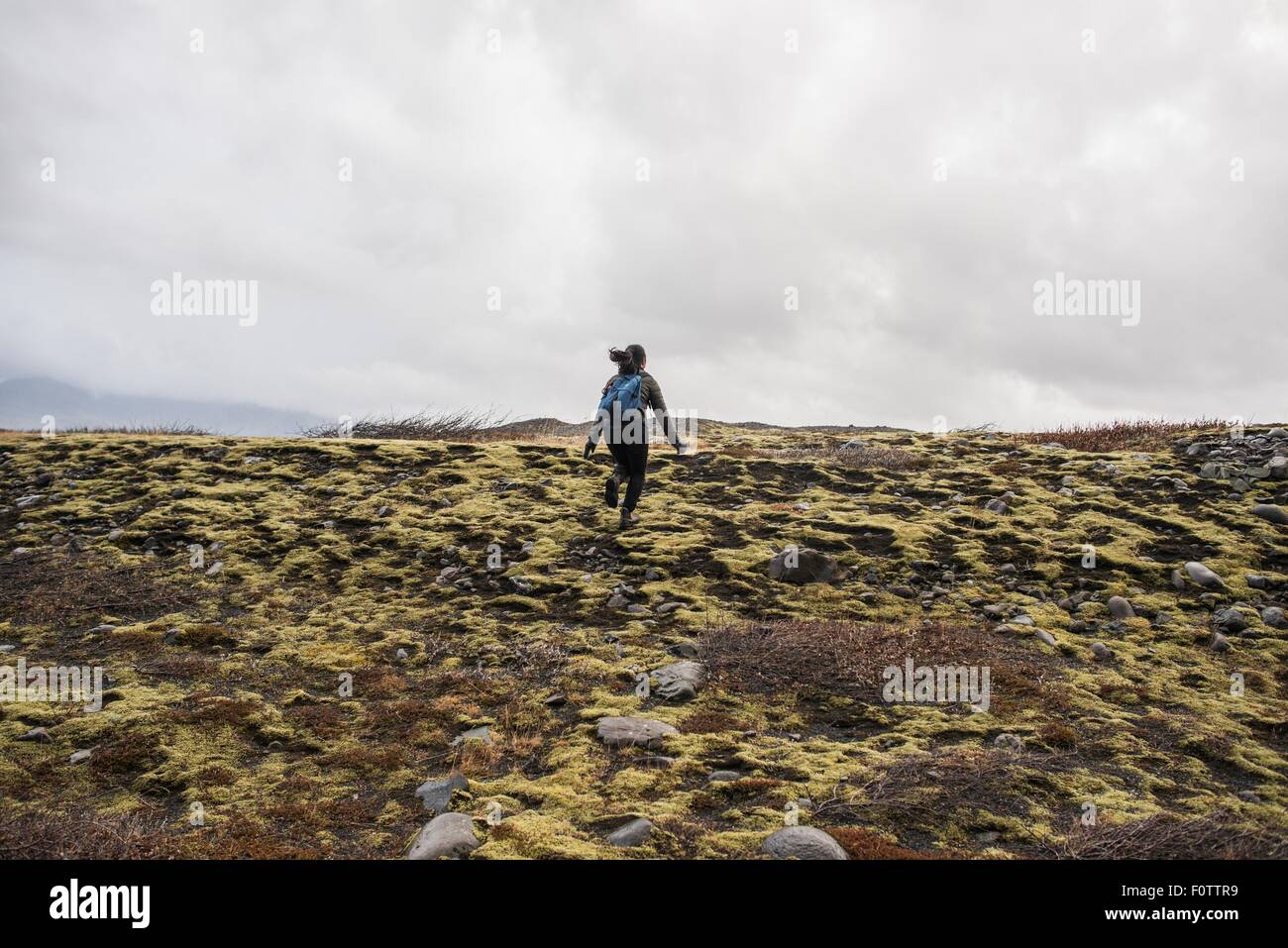 Rear view of female tourist running across moorland, Skaftafell ...