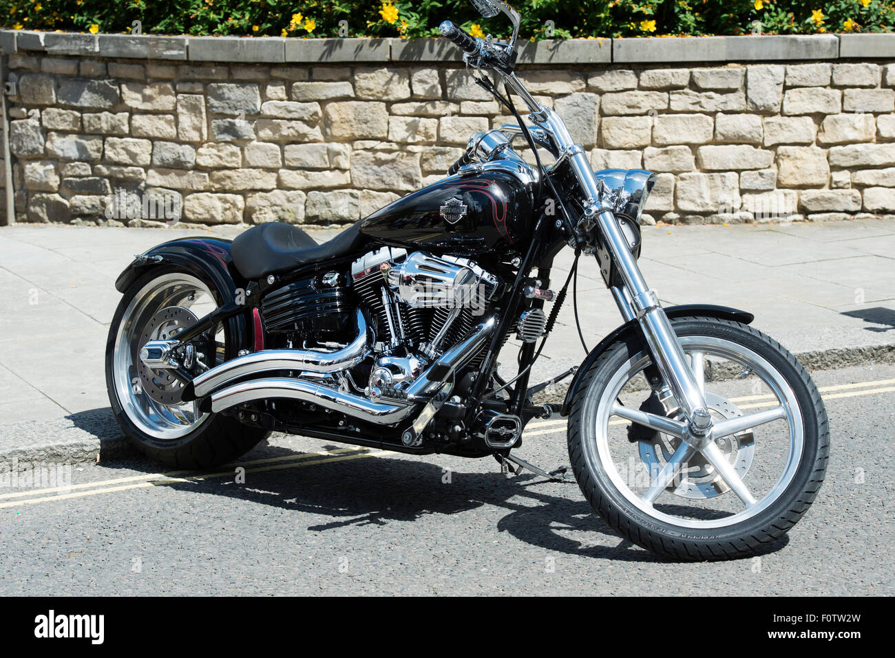 Harley Davidson softail motorcycle Stock Photo - Alamy