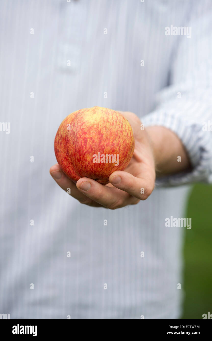 Man eating fruit not woman hi-res stock photography and images - Alamy