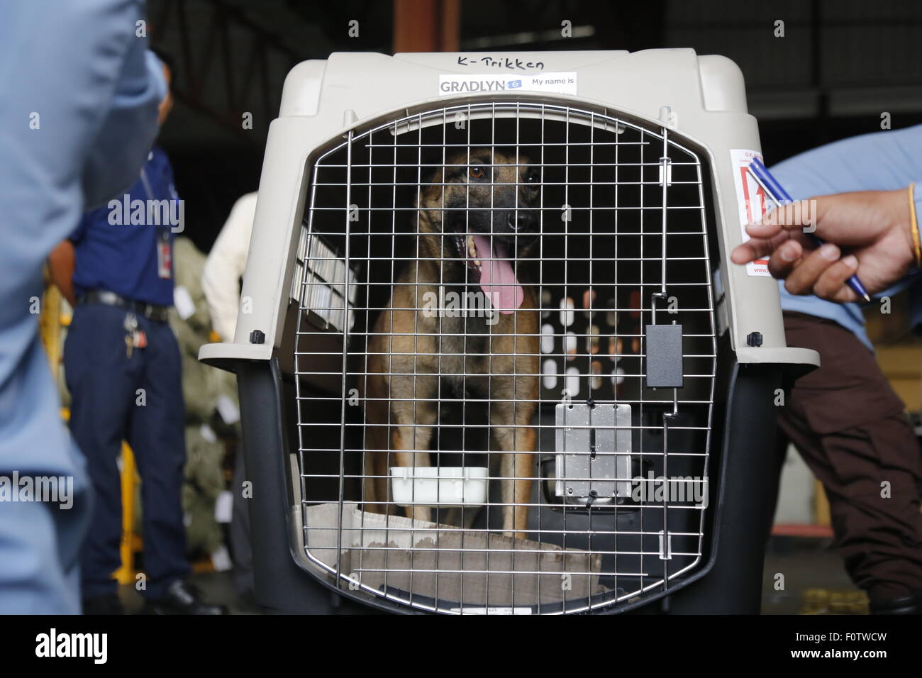 Phnom Penh, Cambodia. 21st Aug, 2015. A mine-sniffing dog arrives in ...