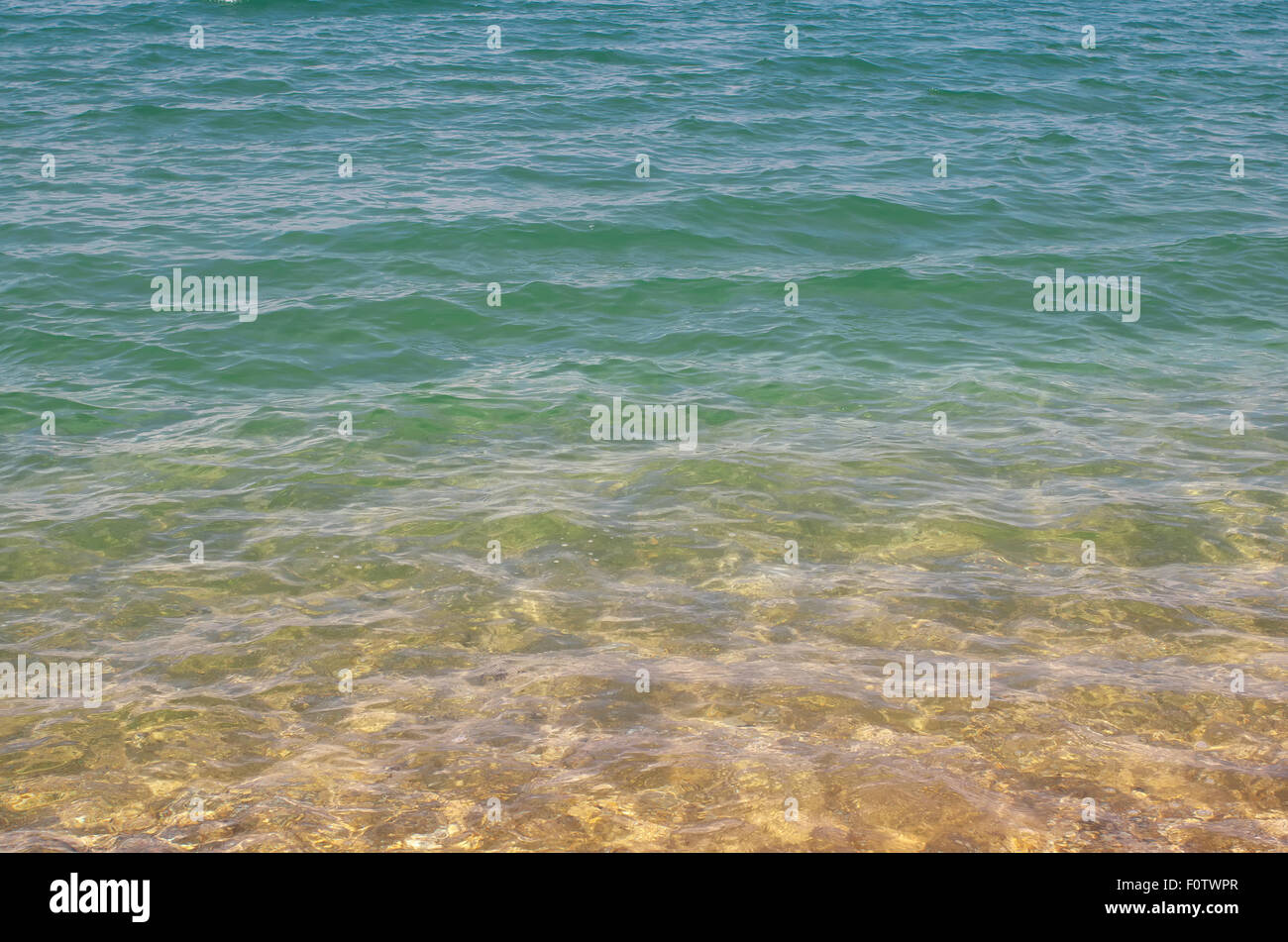 beautiful summer sea coast Stock Photo - Alamy