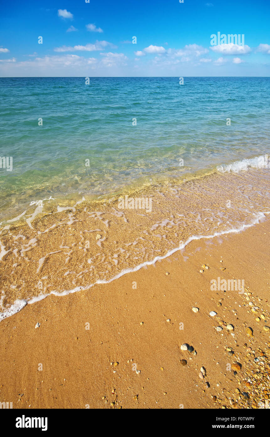 beautiful summer sea coast. Nature composition Stock Photo - Alamy