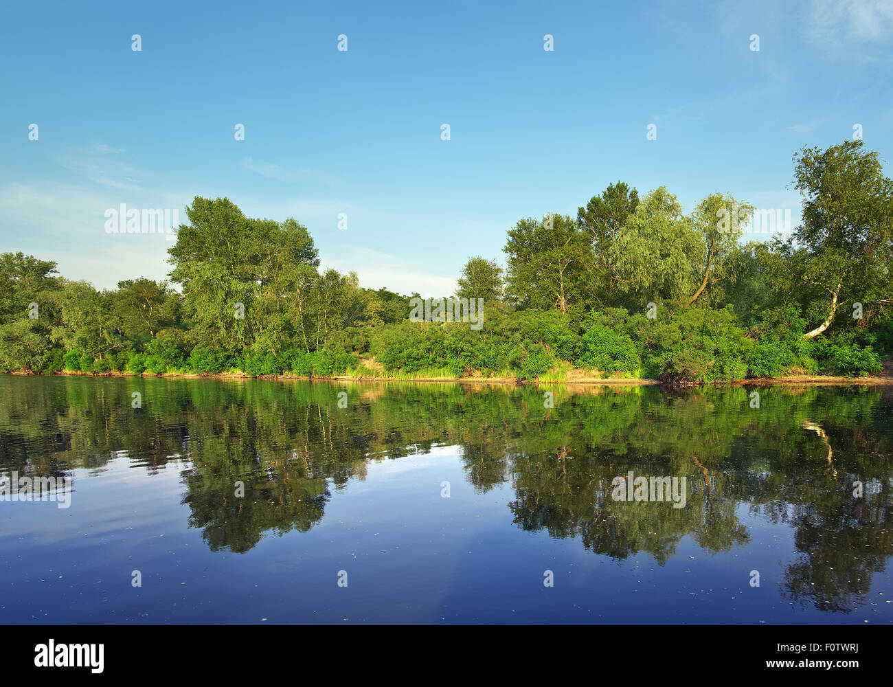 River and spring green forest. Nature composition Stock Photo - Alamy