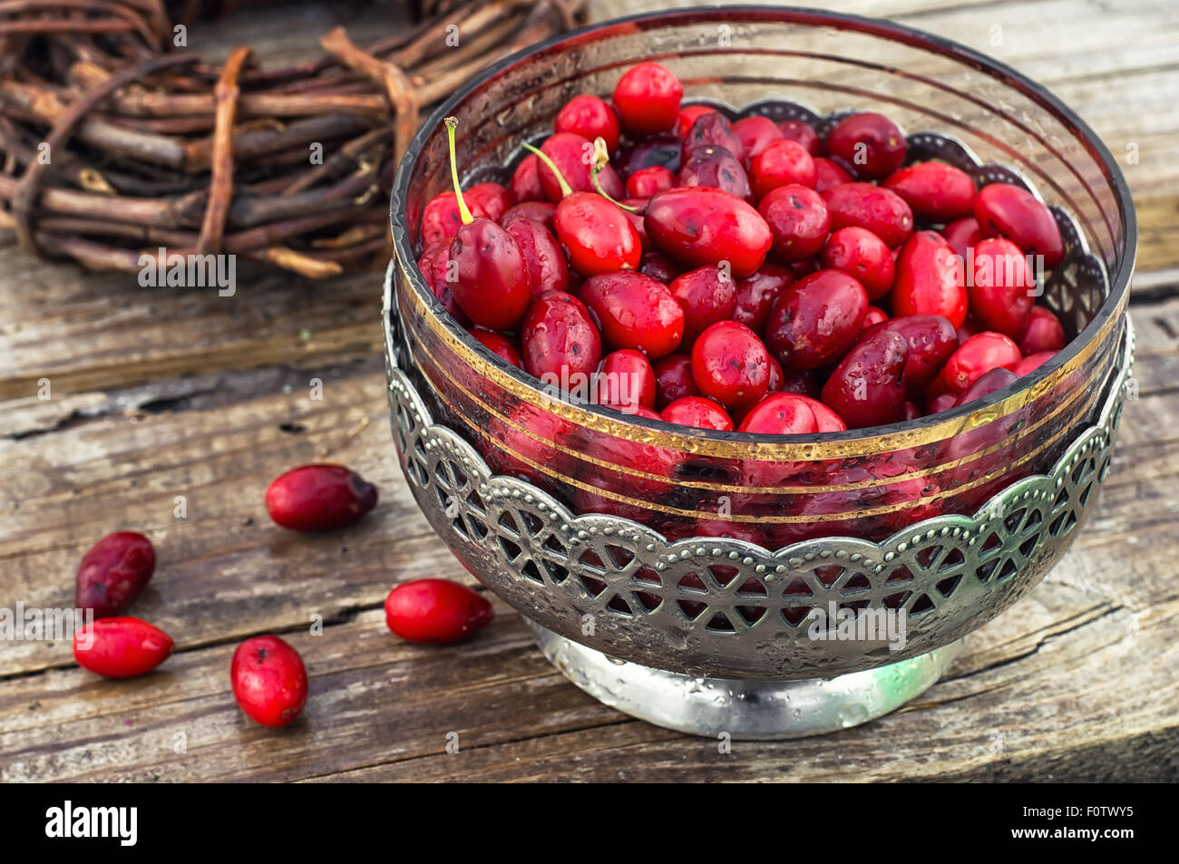 Cornel berries with herbaceous medicinal shrub Stock Photo - Alamy