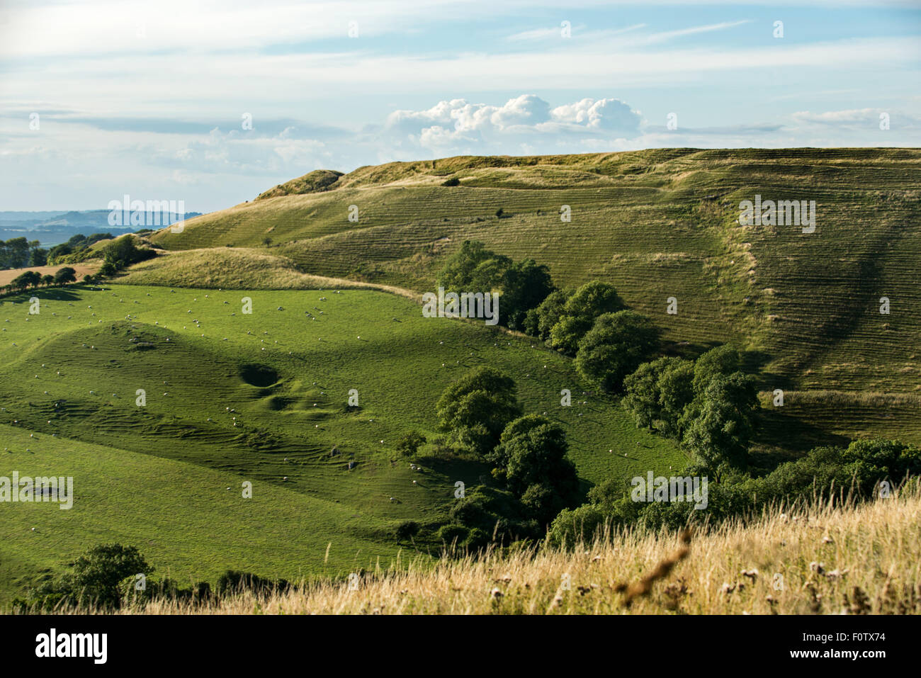 A view of Eggardon Hill Fort, Dorset. Eggerdon is an Iron Age Hill fort ...